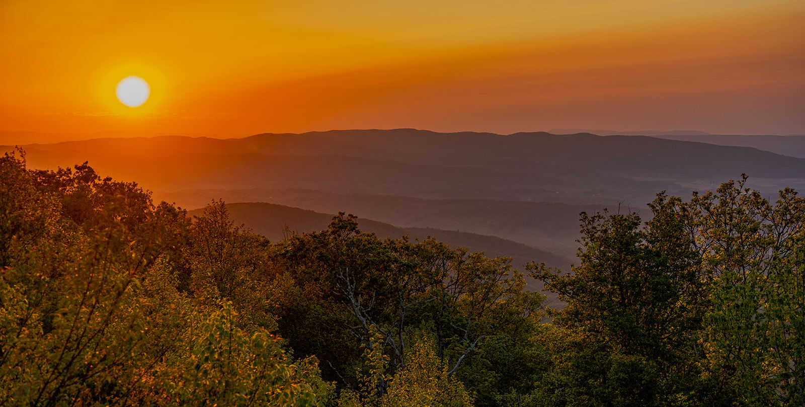 Camping Near Pikeville KY: Elkhorn Creek
